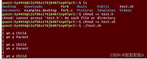 操作系统实验 Fork 系统调用分析 操作系统实验fork CSDN博客