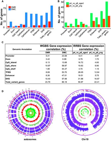 Gene Expression Inverse Correlation With Methylation Data A Number Of Download Scientific