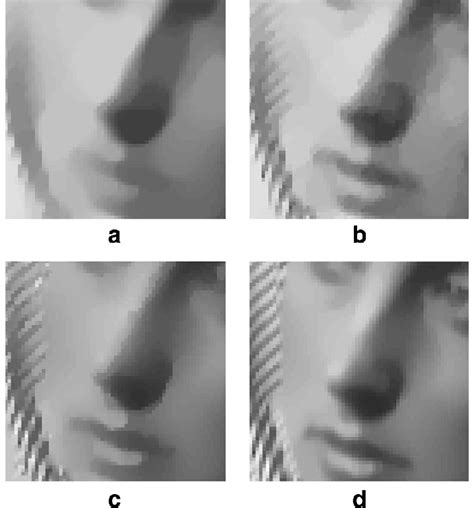 Locally Enlarged Denoised Barbara Images Using Four Different Methods
