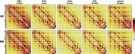 Synchronization Matrices Across The Bipolar Disorder Bd Patients N