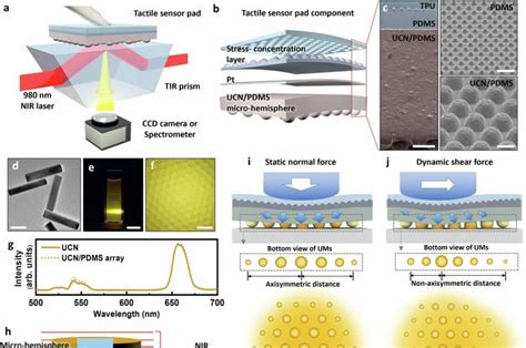 Novel Optical Tactile Sensors Pave The Way For Advanced Biometric