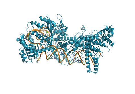 How To Use Alphafold3 Commercially