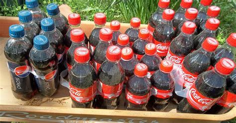 Practical Parsimony Curb Shopping Cokes