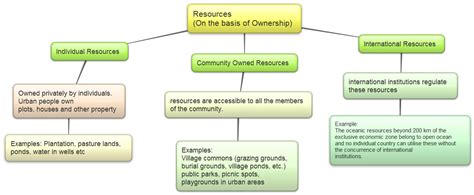 CBSE Papers Questions Answers MCQ Class Geography Ch Resource And Development