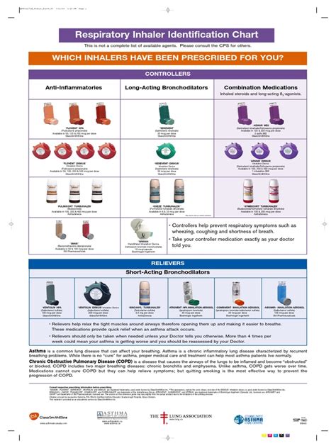 Respiratory Inhaler Identification Chart Which Inhalers Have Been Prescribed For You Pdf