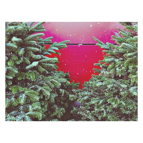 Premium Photo Plants Growing On Tree