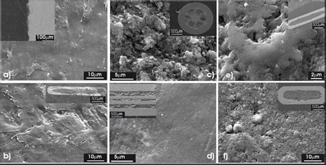 Sem Micrograph Of The Core Microstructures Of A Ss2 B Ti1