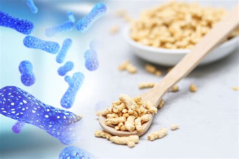 Microbial Testing An Overview Of What It Is And What It Is For
