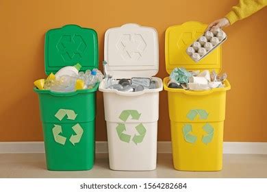 Containers Different Types Garbage Near Color Stock Photo Shutterstock