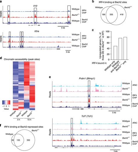 Bach2 Limits Dna Accessibility Occupancy And Expression Of Irf4 Target Download Scientific