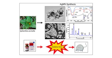 Green Synthesis Of Silver Nanoparticles Using Spilanthes Acmella Leaf Extract And Its
