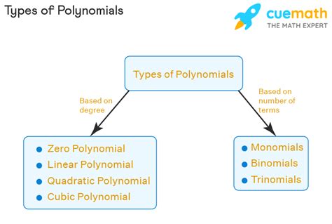 Polynomial Terms And Degrees Names