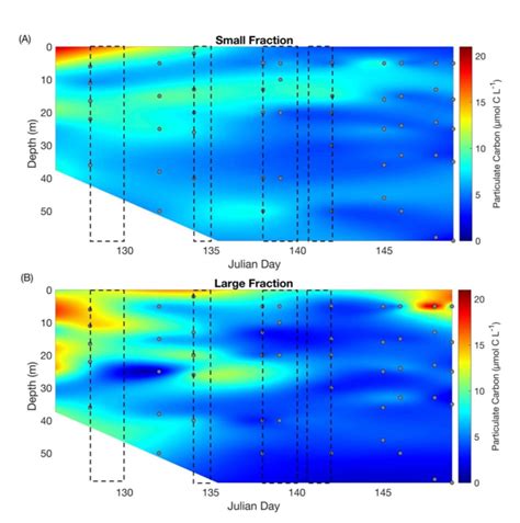 Size Fractionated Particulate Carbon Concentrations Contour Plots Of Download Scientific