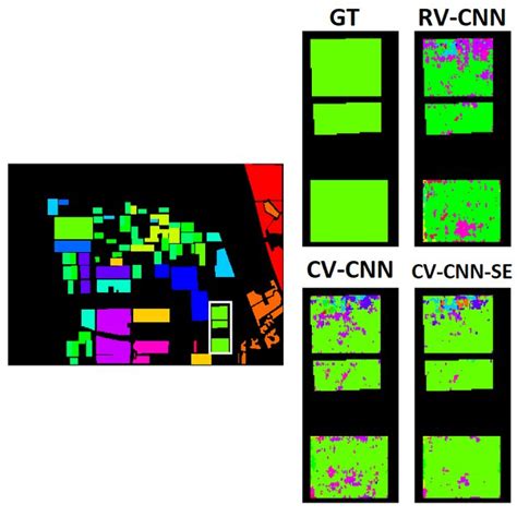 classification maps a ground truth gt b rv cnn c cv cnn d