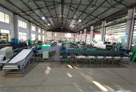 China Customized Horizontal Electronic Fruit Grading Machine Suppliers