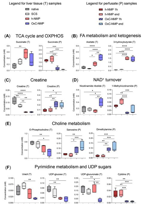Differentially Expressed Metabolites In Liver Tissue And Perfusate Download Scientific Diagram