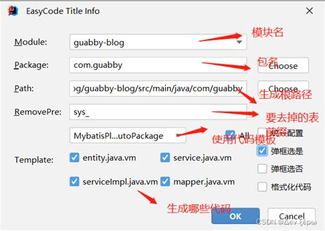 java（一）easycode配置 csdn博客