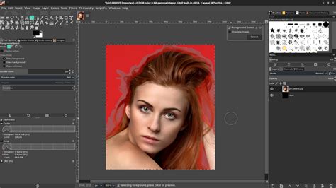 Need Help Using Foreground Select Tool Gimp