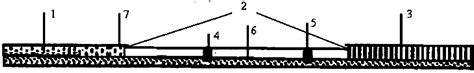 Test Strip And Method For Detecting Aflatoxin M1 Eureka Patsnap