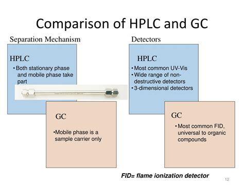 Difference Between Gc And Gc Ead At Kenneth Sensabaugh Blog