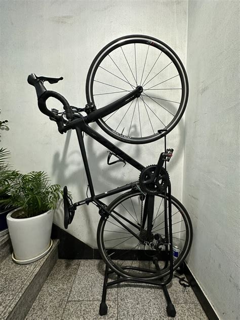 2017 첼로 스칼라티 풀 10 당근마켓 중고거래