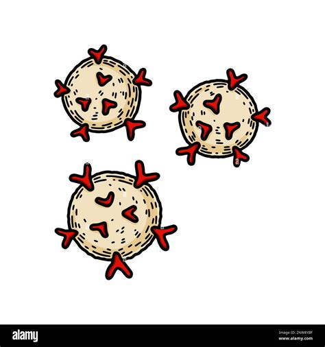 T Cell Stock Vector Images Alamy