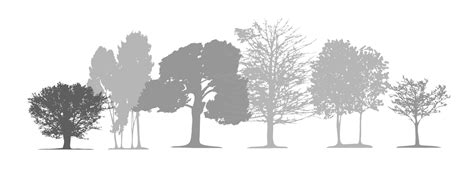 TPO Tree Preservation Order Advice Technical Arboriculture