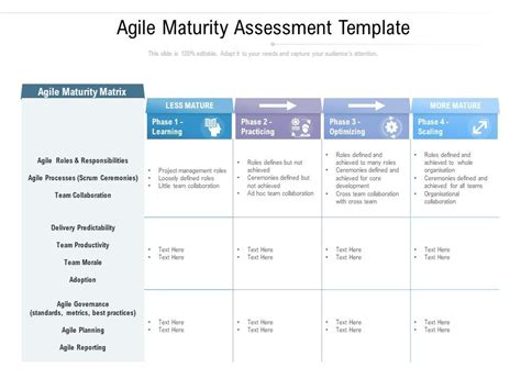 Agile Maturity Assessment Template Ppt Powerpoint Presentation Inspiration