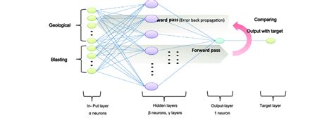 typical architecture of the feed forward back propagation ann
