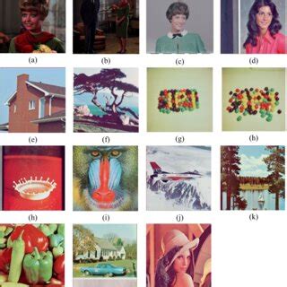 Test Images For The Encryption Scheme Download Scientific Diagram