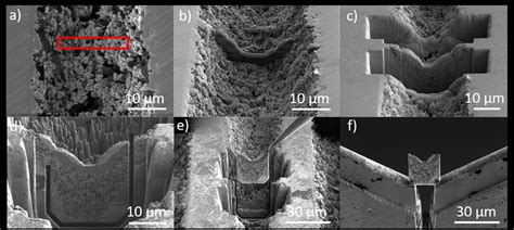 Figure C 7 Specimen Preparation A Illustrates The Selection Of The Download Scientific