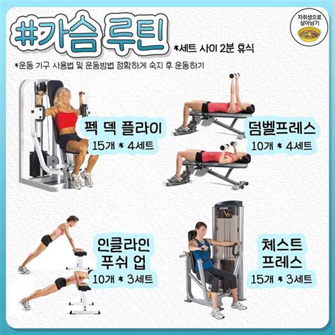 헬스장 뽕뽑는 헬린이 부위별 꿀루틴 총정리 정보지식사이트 30일 운동 간단한 운동 운동 챌린지