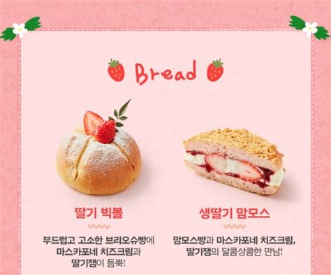파리바게뜨 신상빵 파리바게뜨 딸기페어 파바 딸기 빅볼 생딸기 맘모스 빵폭식 먹리뷰🍓 네이버 블로그