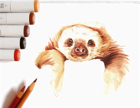 Checker UX UI Design Of Timemanagement Web App On Behance