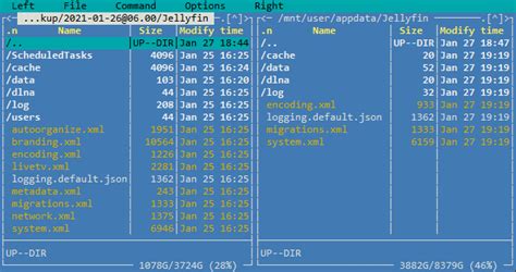 Unraid Docker Migration R Jellyfin