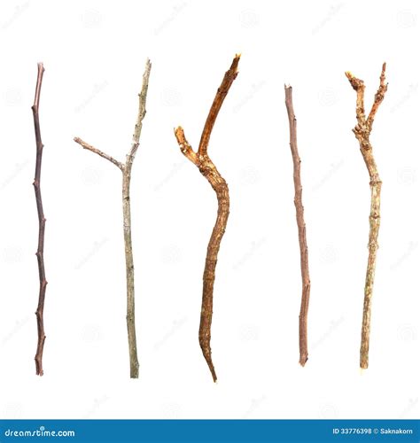 Branches Stock Photo Image Of Frame Construction Park 33776398