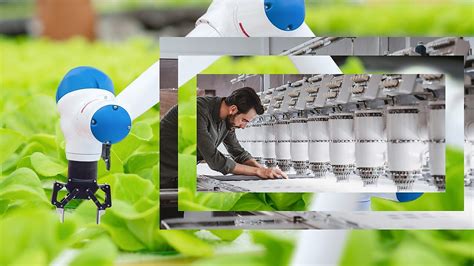 Gadus Grease For Robotics And Automation Shell Shell Global