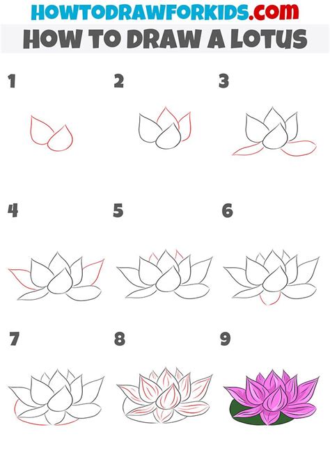 how to draw a lotus flower