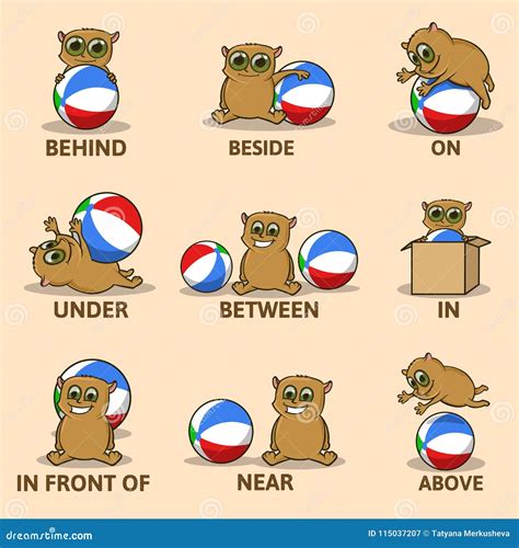 รายการ 95 ภาพพื้นหลัง Preposition Of Place มี อะไร บ้าง ความละเอียด 2k 4k