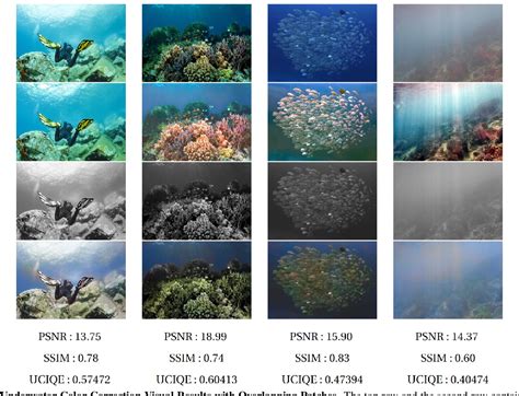 Figure 1 From Underwater Image Color Correction Using Ensemble Colorization Network Semantic