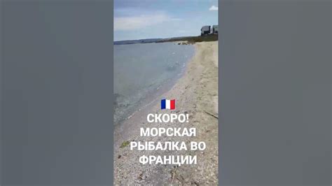 СКОРО МОРСКАЯ РЫБАЛКА ВО ФРАНЦИИ морскаярыбалка средиземноеморе франция Youtube