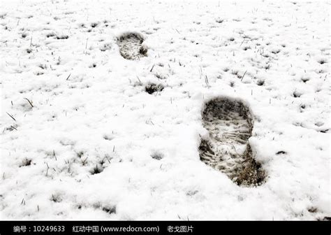 雪地脚印高清图片下载 红动中国