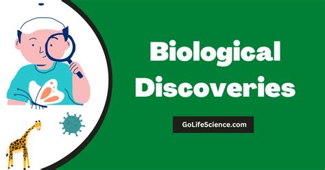 Transfer Rna The Molecular Translator Of The Genetic Code