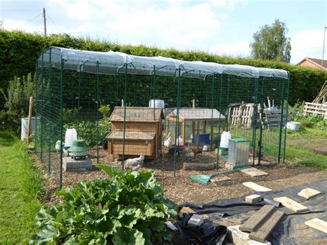 Walk In Chicken Run Extensions Chicken Coops Walk In Chicken Runs Chicken Fencing And More