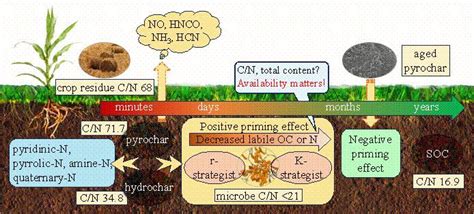 生物炭土壤固碳和遗留磷利用领域发表综述和观点论文 知乎