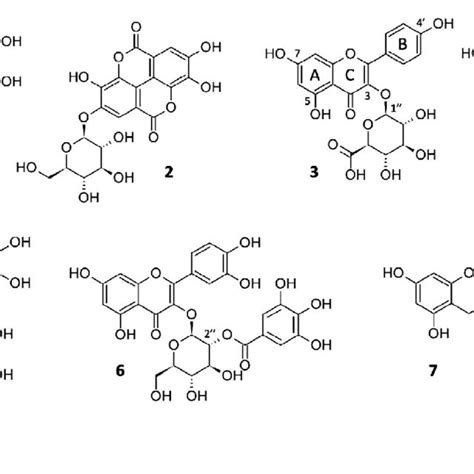 Structure Of Compounds 1 7 Download Scientific Diagram