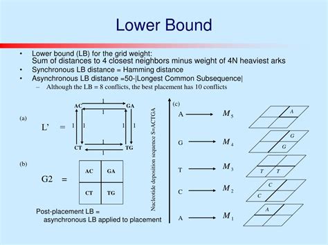 Ppt Border Length Minimization In Dna Array Design Powerpoint