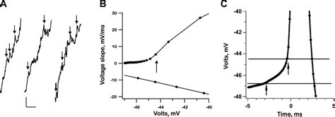 Estimating Spike Threshold In The Exemplar Regular Unit A Threshold