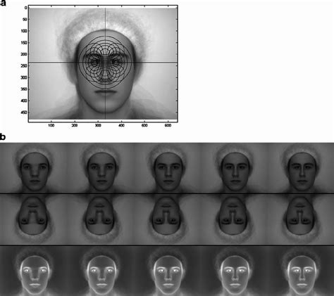Experiment 1 Stimuli A The Contour Of Displacement Followed By The Download Scientific Diagram