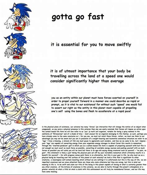 Gotta Go Fast R Dankmemes